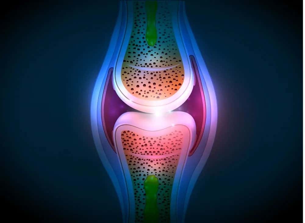 12 Different Types Of Synovial Joints Nayturr