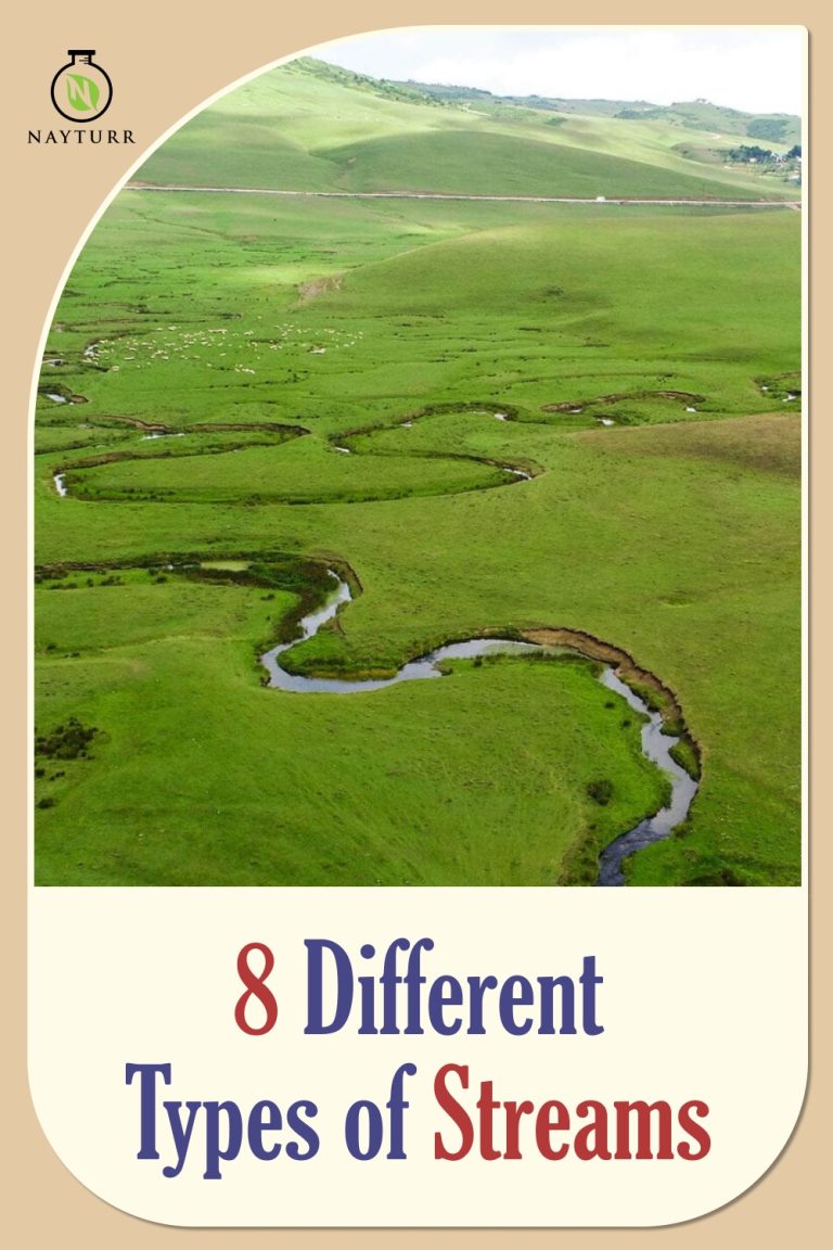 8 Different Types of Streams – Nayturr