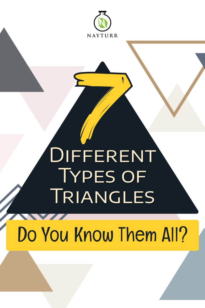 7 Different Types of Triangles – Do You Know Them All? – Nayturr