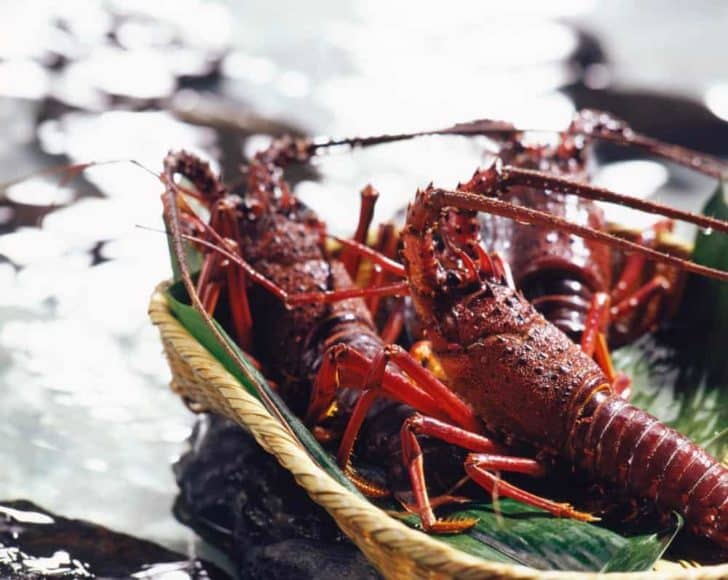 15 Different Types of Lobster – Nayturr