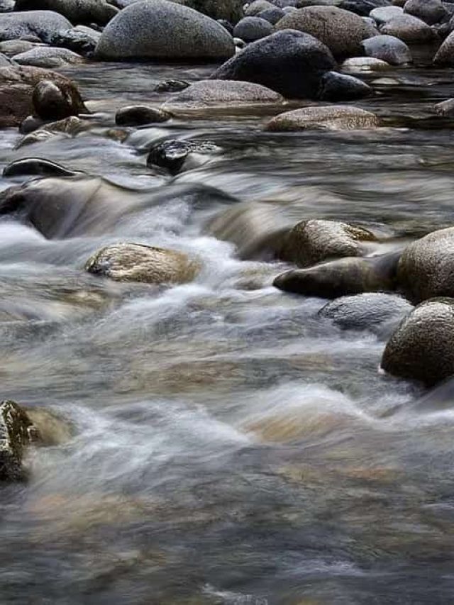 Types of Streams – Nayturr