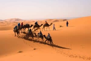 14 Different Types of Terrain – Nayturr