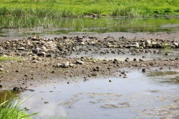 9 Different Types of Rivers (Plus Essential Facts) – Nayturr