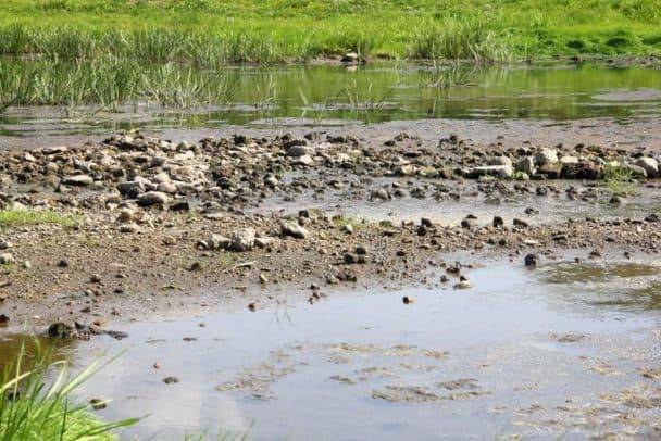 9 Different Types of Rivers (Plus Essential Facts) – Nayturr