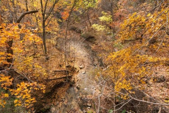 8 Different Types of Streams – Nayturr