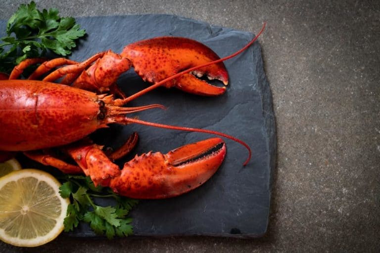 15 Different Types of Lobster – Nayturr