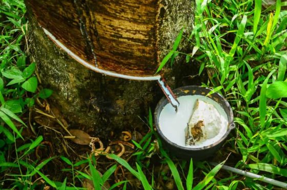18 Different Types of Rubber (Plus Essential Facts) – Nayturr