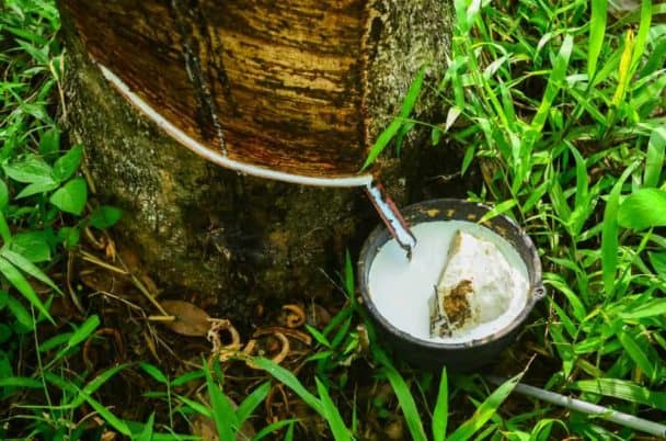 18 Different Types of Rubber (Plus Essential Facts) – Nayturr