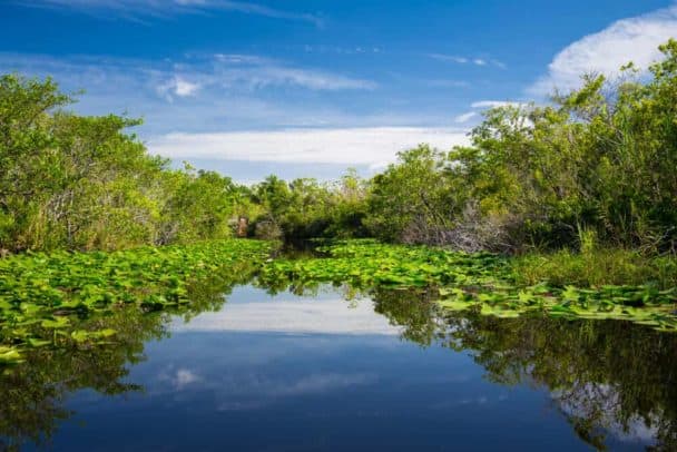 14 Different Types of Terrain – Nayturr