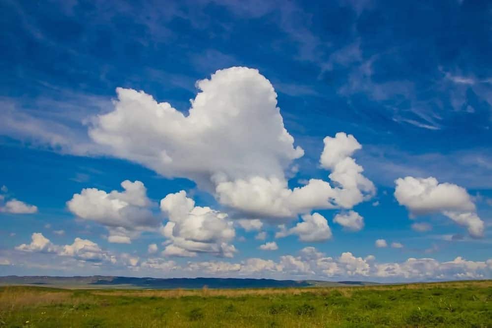 10 Types Of Clouds In The Sky Do You Know Them All Nayturr
