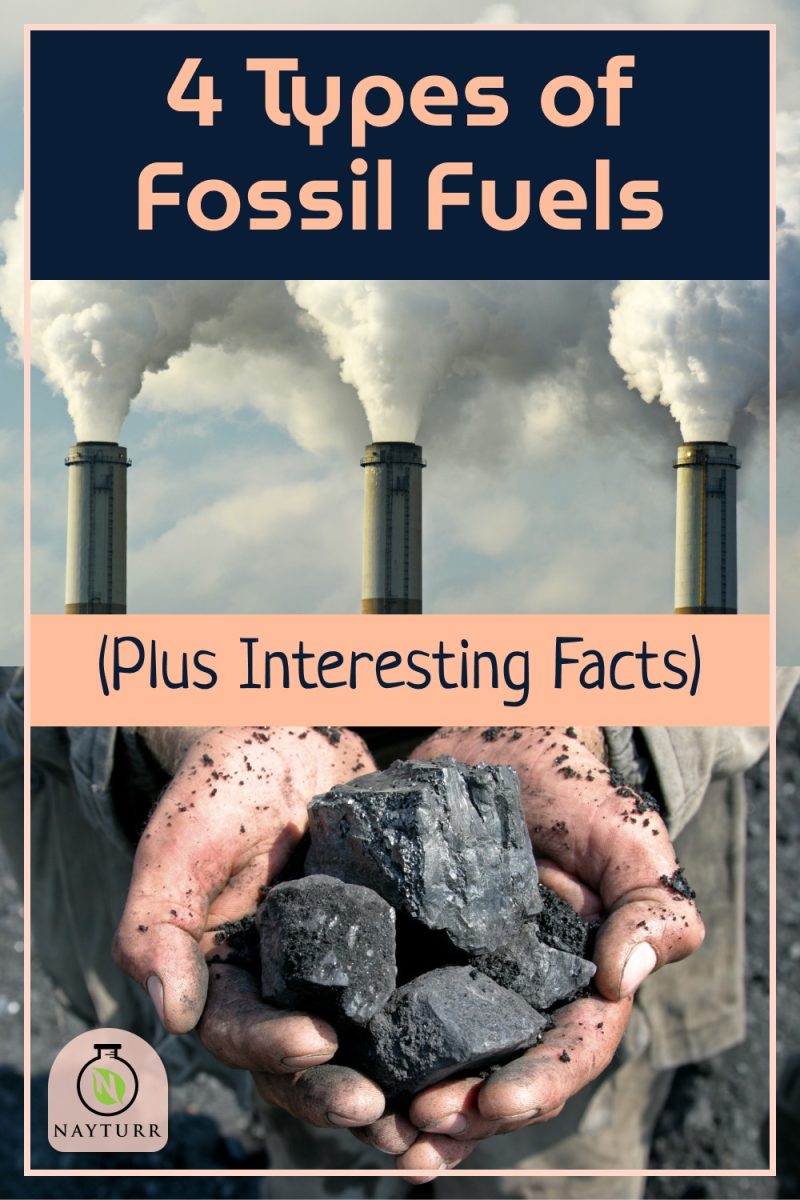4 Types of Fossil Fuels (Plus Interesting Facts) – Nayturr