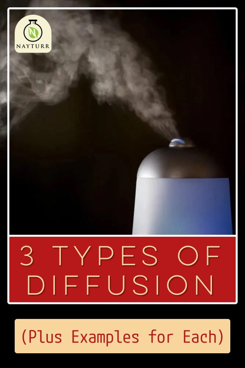 3 Types of Diffusion (Plus Examples for Each) – Nayturr