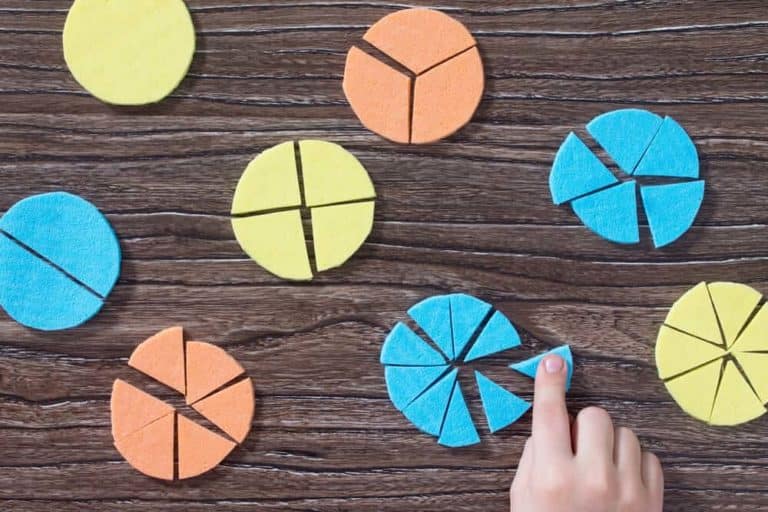 7 Different Types of Fractions (Plus Vital Facts) – Nayturr
