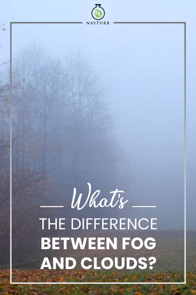 What’s The Difference Between Fog and Clouds? – Nayturr
