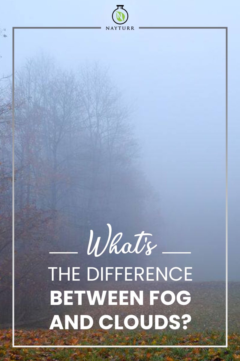 What’s The Difference Between Fog and Clouds? – Nayturr