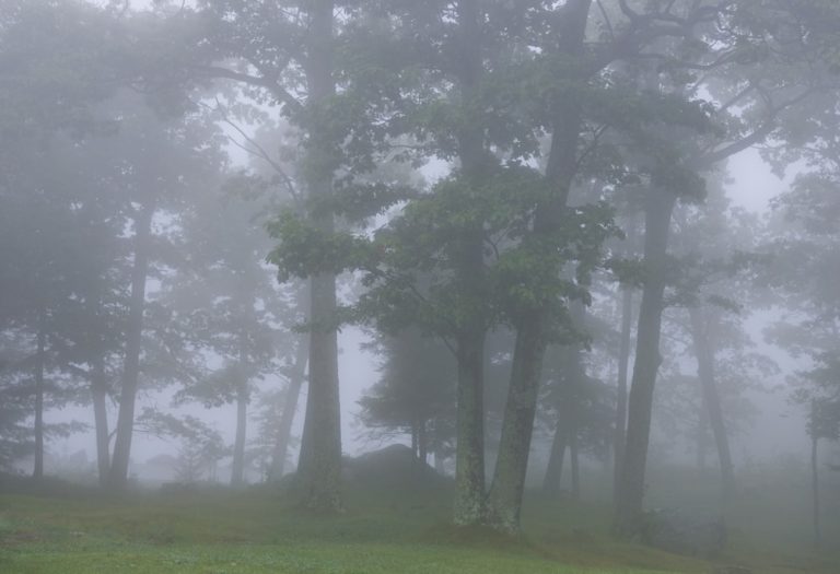 What’s The Difference Between Fog and Clouds? – Nayturr