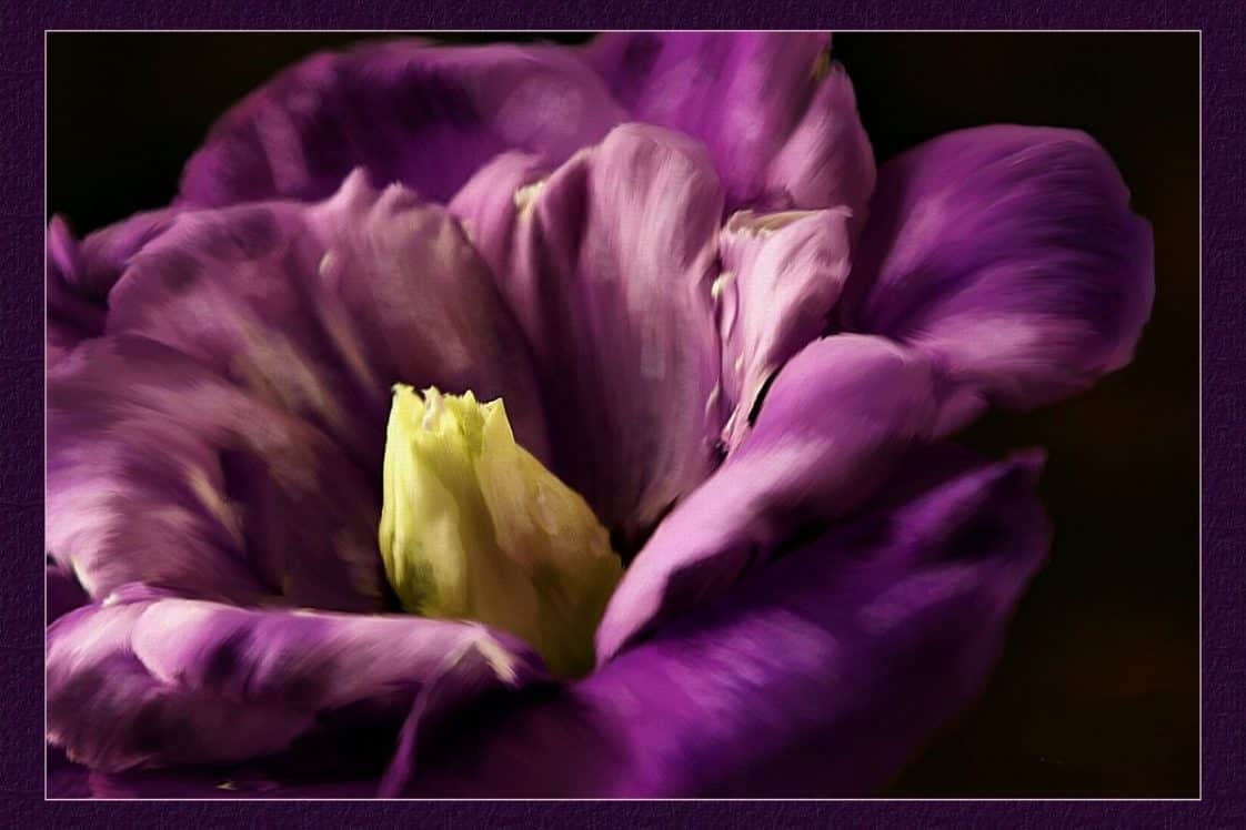 5 Different Types of Aesthetics – Nayturr