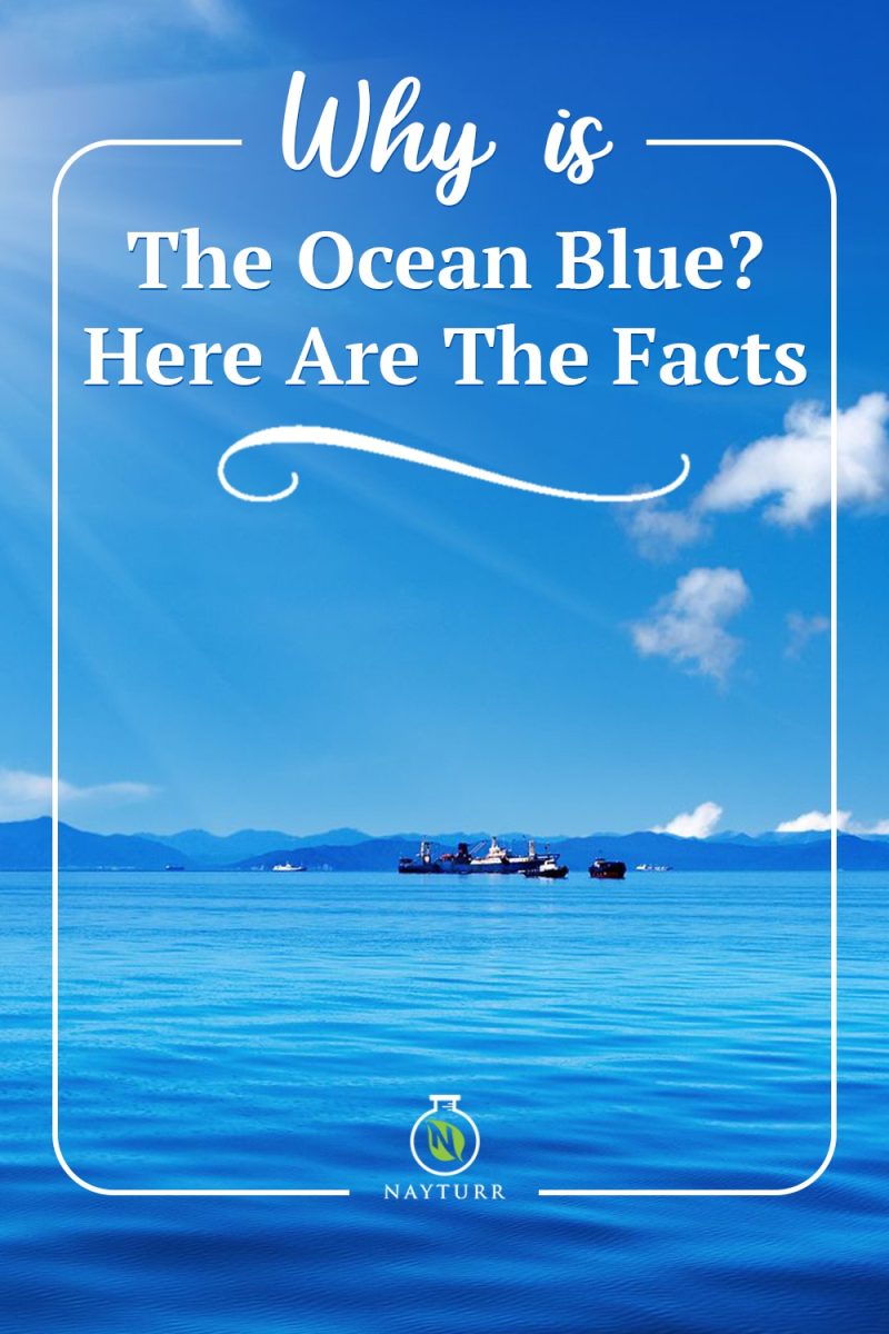 Why Is The Ocean Blue? Here Are The Facts – Nayturr