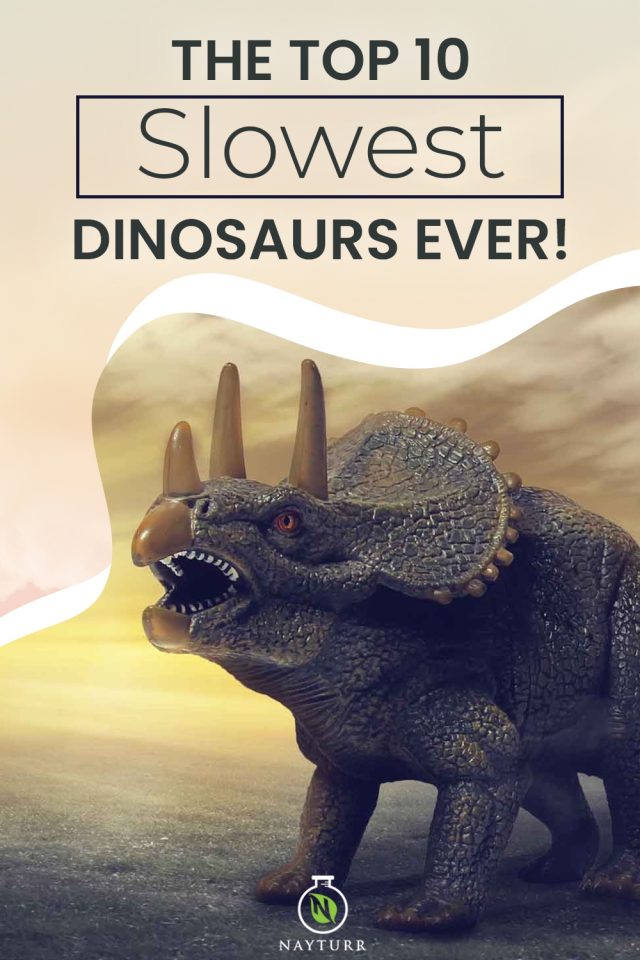 The Top 10 Slowest Dinosaurs Ever! – Nayturr