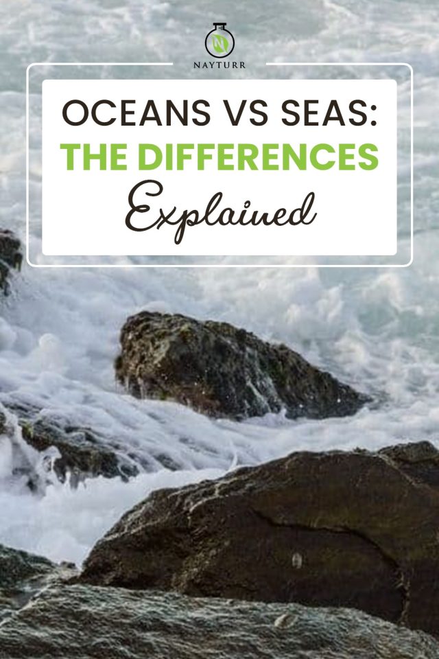 Oceans vs Seas: The Differences Explained – Nayturr