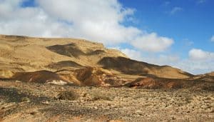 How Do Deserts Form? Here’s a Full Explanation – Nayturr