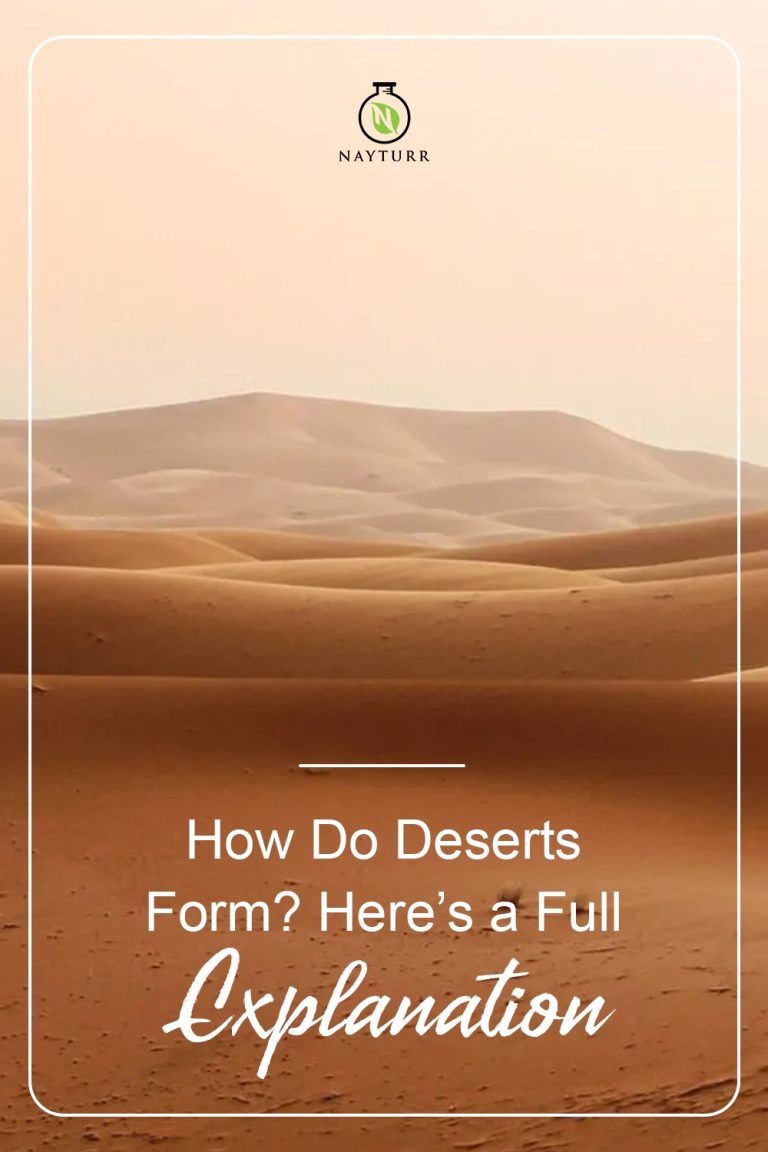 How Do Deserts Form? Here’s a Full Explanation – Nayturr