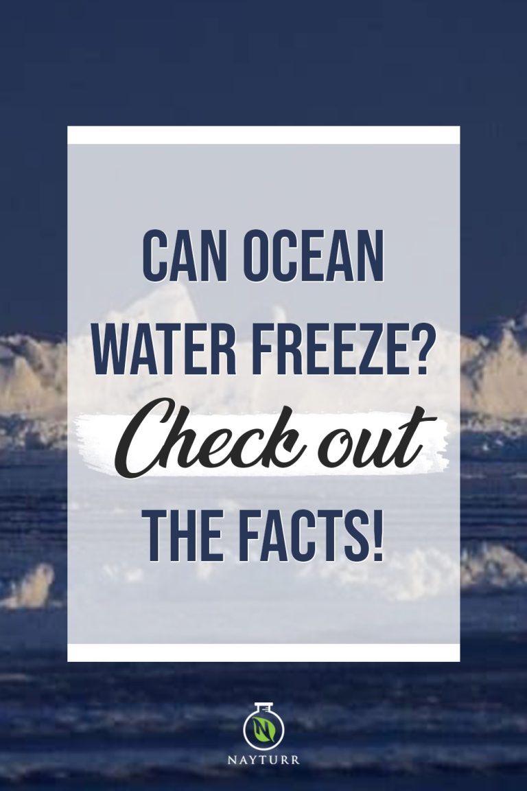 Can Ocean Water Freeze? Check out the Facts! – Nayturr