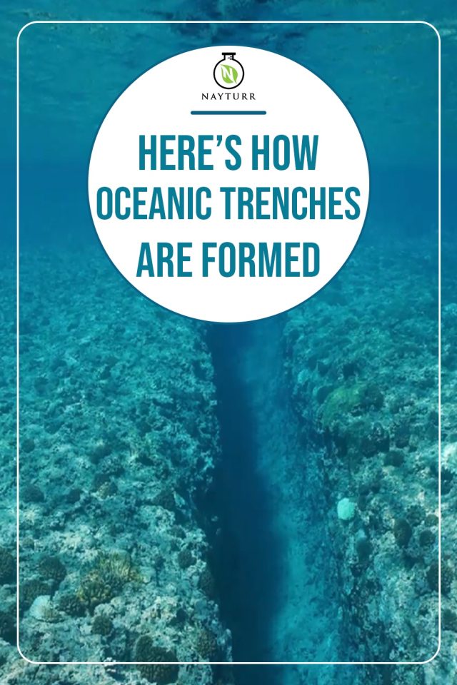 Here’s How Oceanic Trenches Are Formed – Nayturr