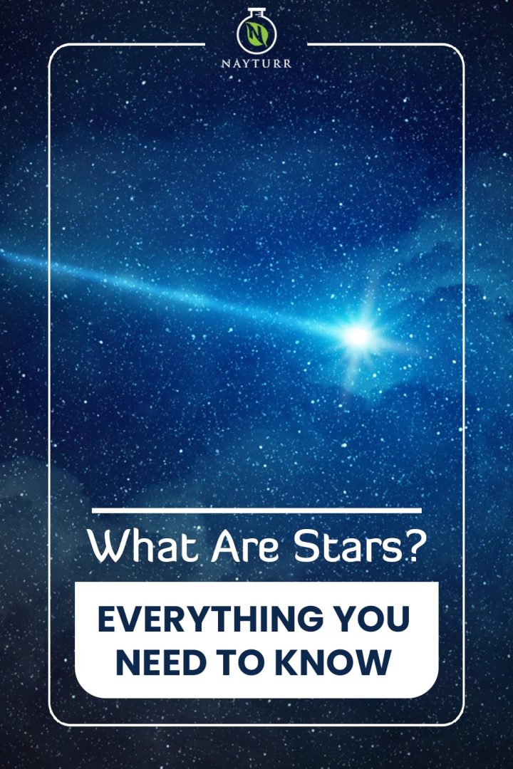What Are Stars? Everything You Need To Know – Nayturr