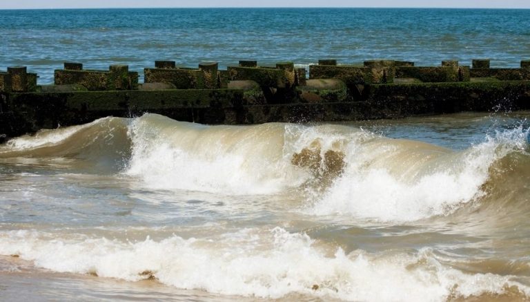 Ocean Tides Explained: What, Why and How – Nayturr