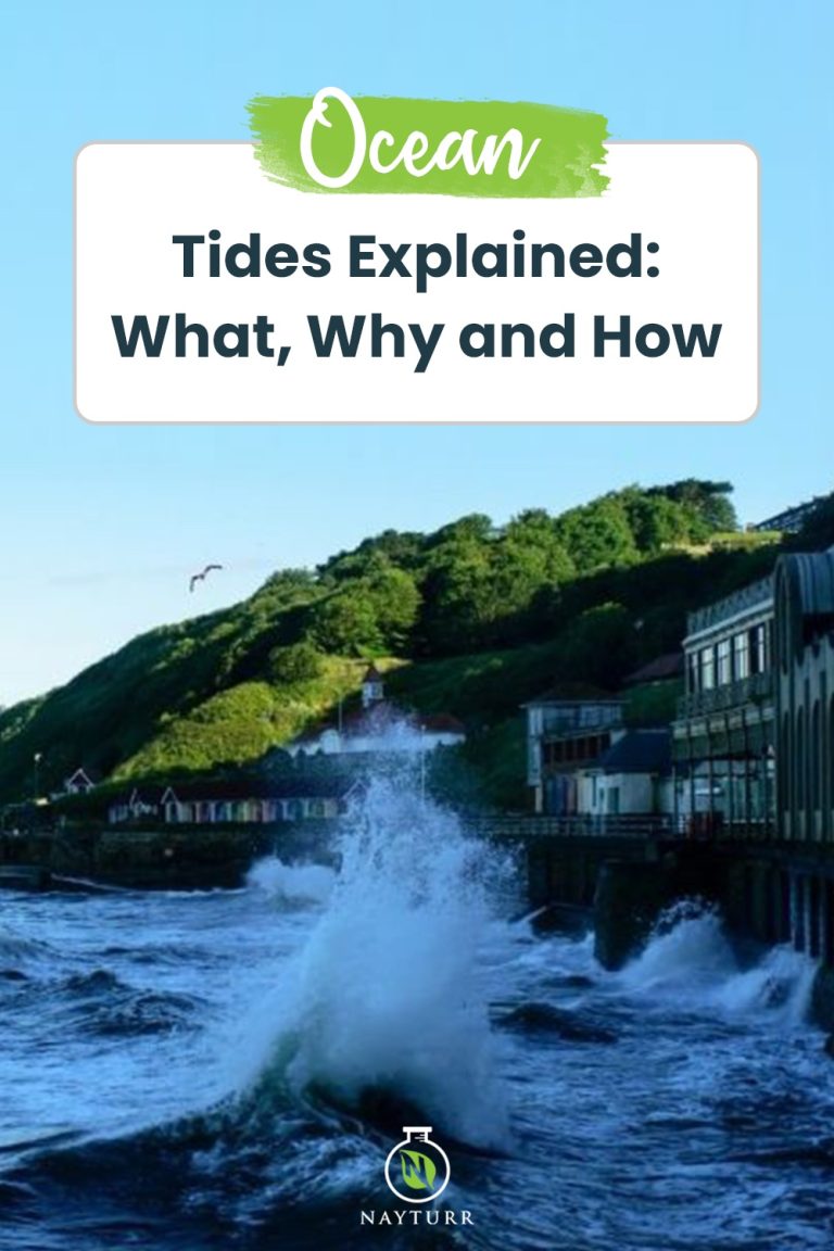 Ocean Tides Explained: What, Why and How – Nayturr