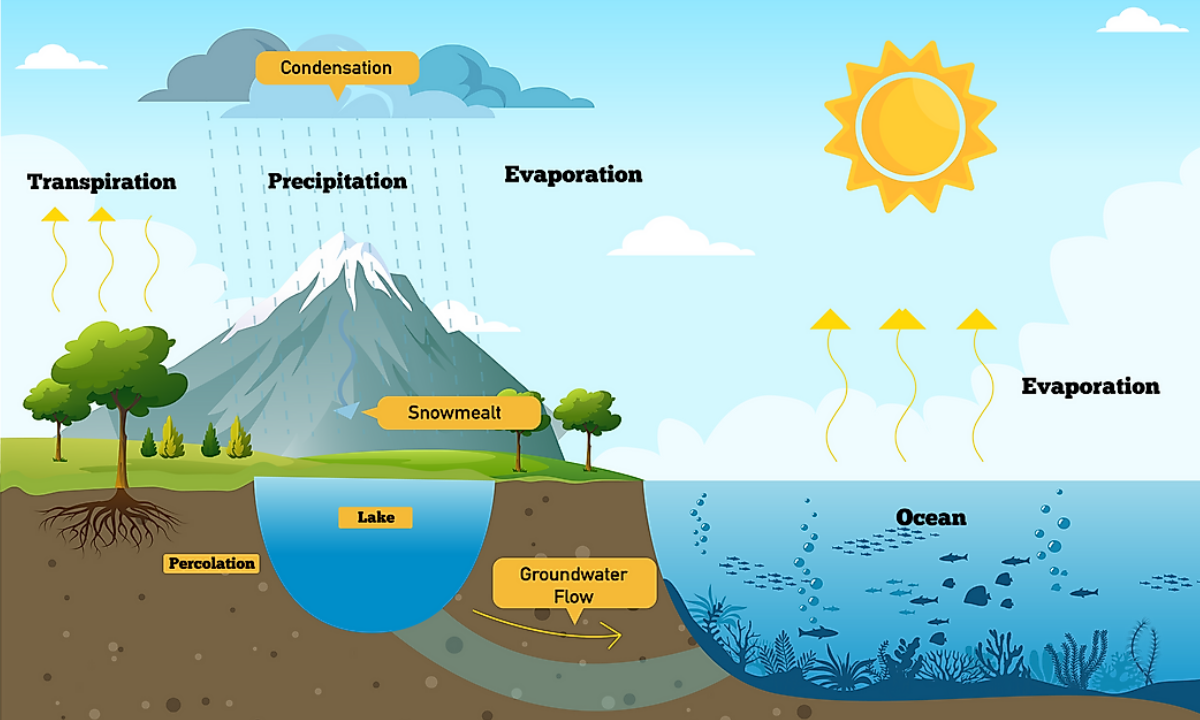 Where Do Clouds Go When They Disappear? – Nayturr