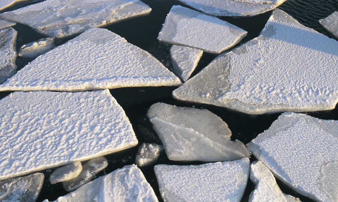 Iceberg vs. Ice Floe: What’s The Difference? – Nayturr